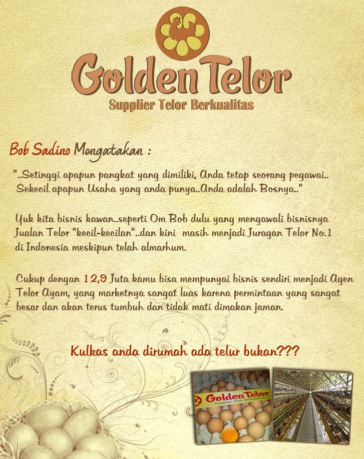 Franchise Golden Telur - Kemitraan sebagai Distributor Telur Ayam